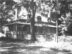Westmount places: Clarke Avenue - Westmount Magazine