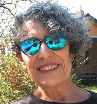 AB(zero)C teaches the alphabet and environmental awareness - Westmount ...